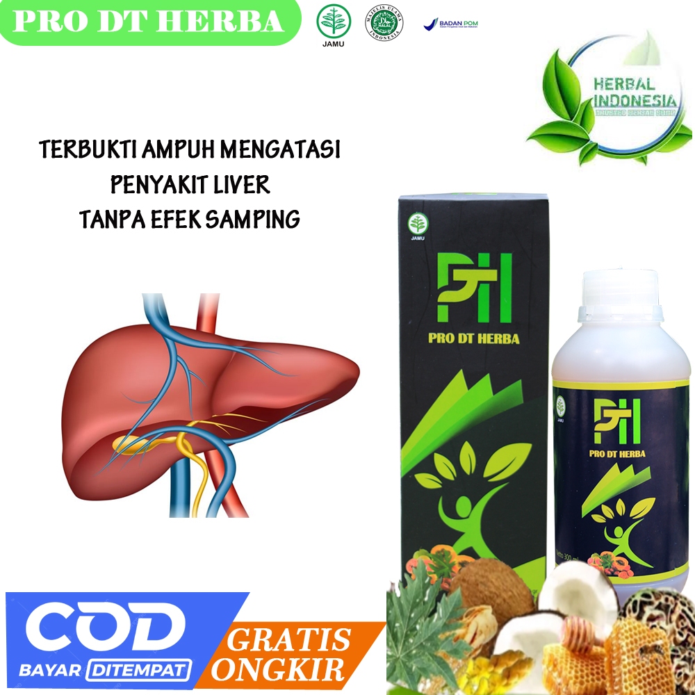 Jual Obat Liver Hepatitis A B C Perut Bengkak Herbal Pro Dt Herba Isi ...