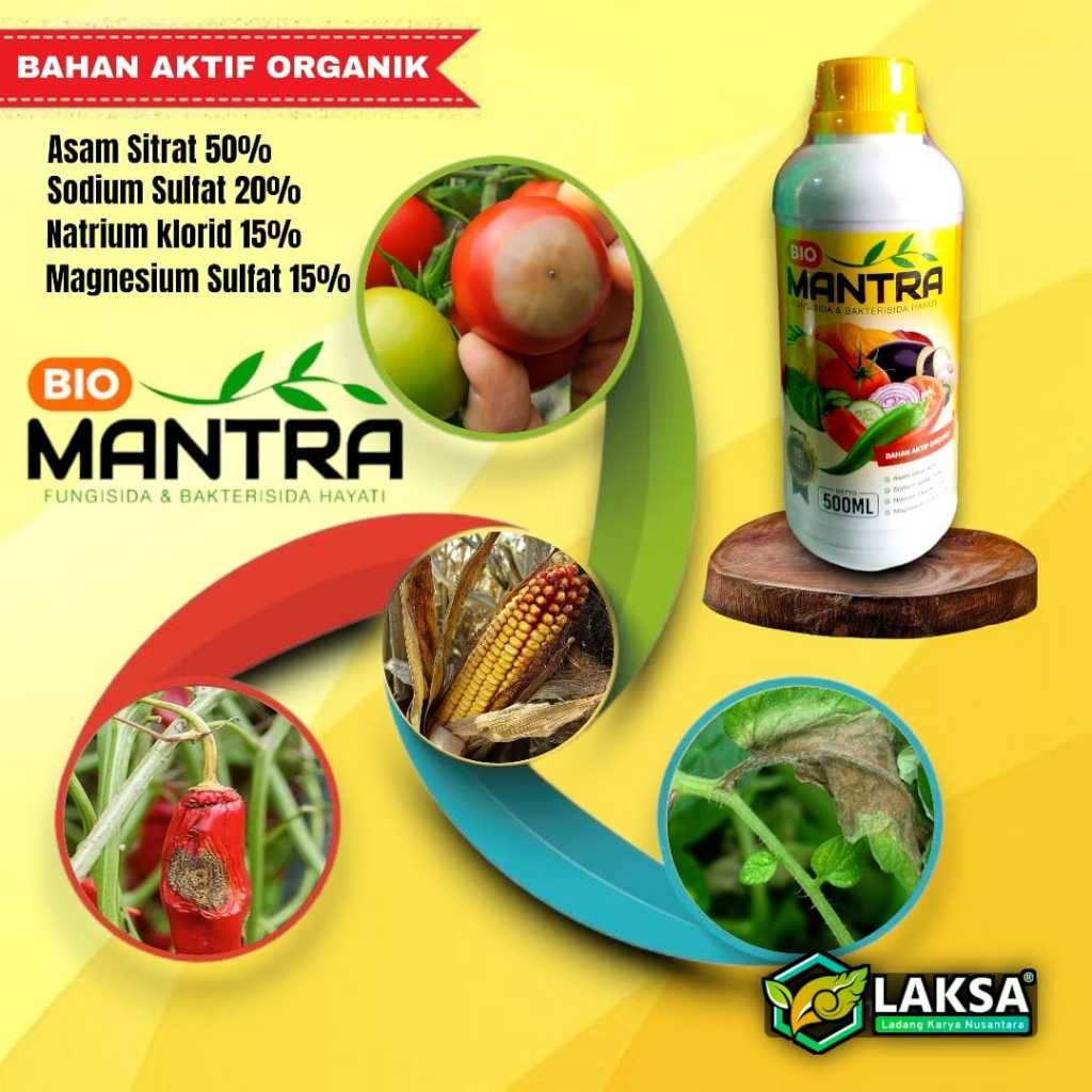 Jual AMPUHH Pengendali penyakit bercakk pada tanaman BIO MANTRA 500 ml ...