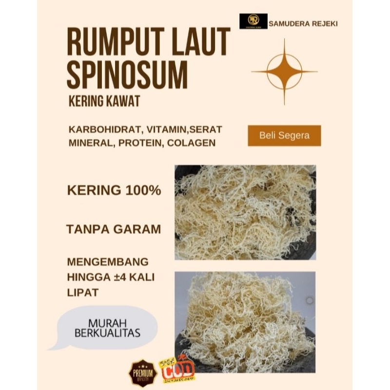 Jual Rumput laut Spinosum Kering Kawat kemasan 500gram | Shopee Indonesia