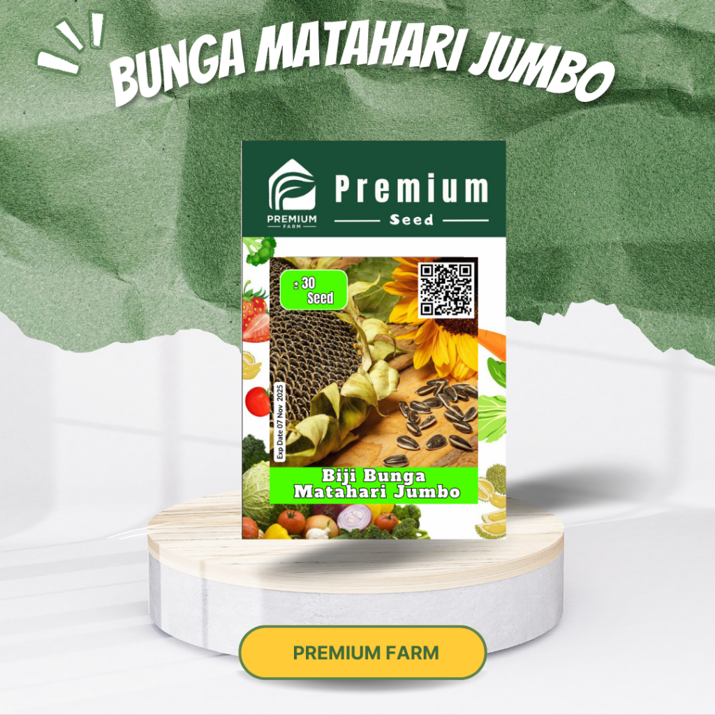 Jual Bibit Benih Biji Bunga Matahari Jumbo Premium Seed | Shopee Indonesia