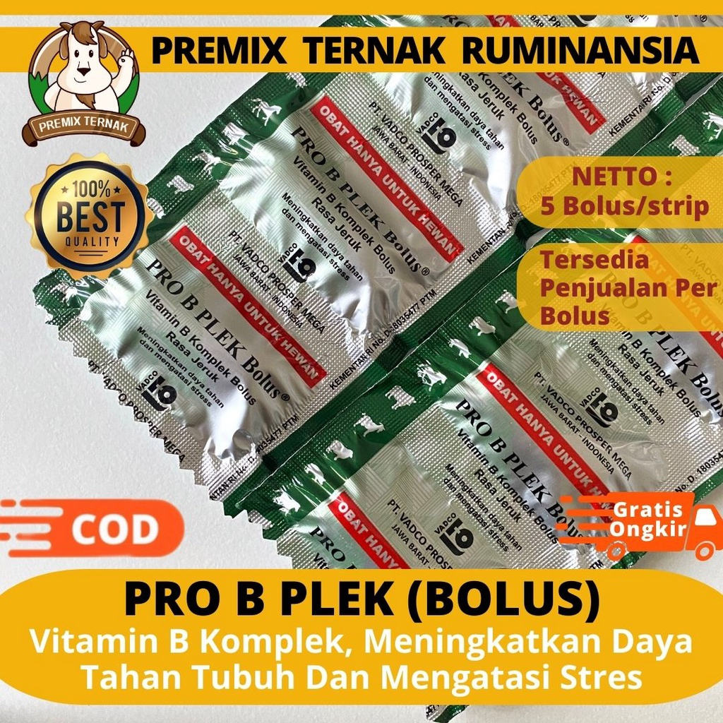 Jual PRO B PLEK BOLUS 1 STRIP (5 BOLUS) VADCO - Vitamin B kompleks RASA ...