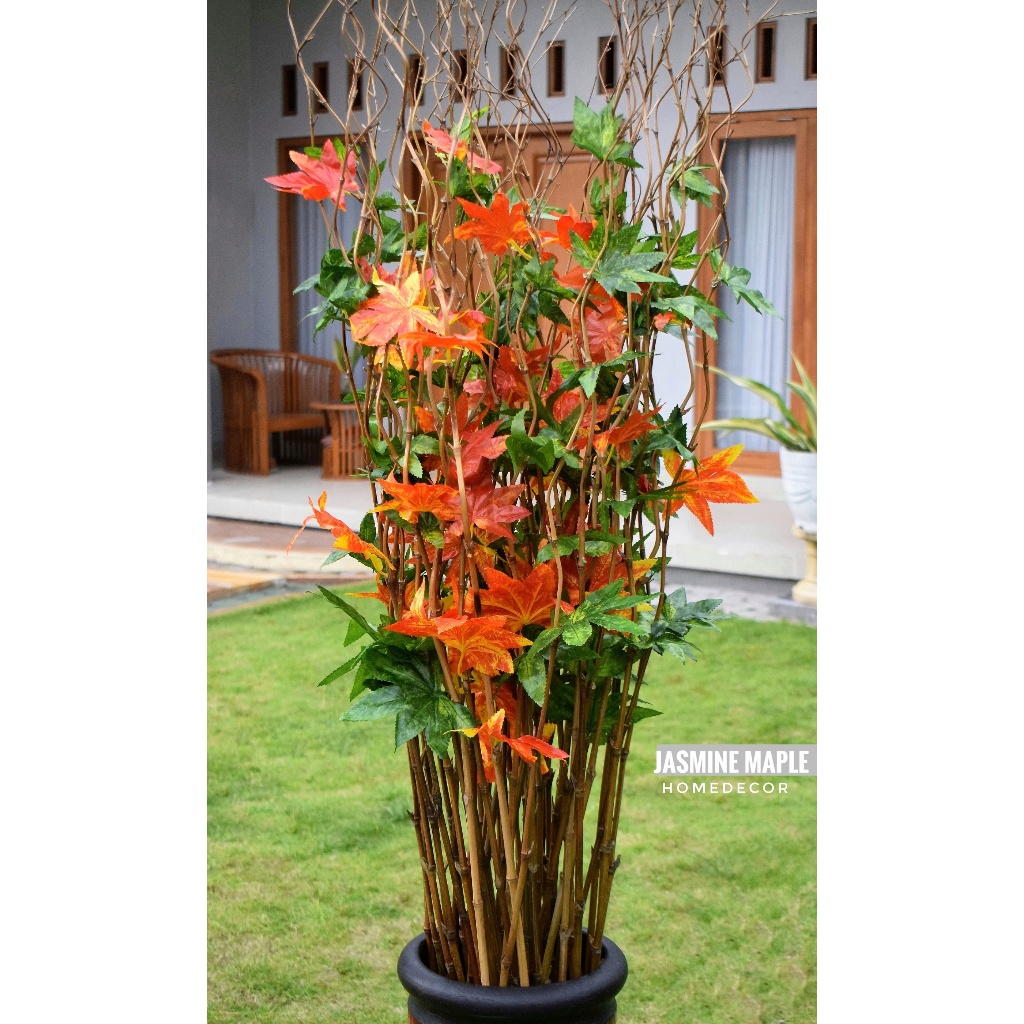 Jual Homedecor 1 Batang Bambu Ulir Natural Maple Amrik Mix 170 cm ...
