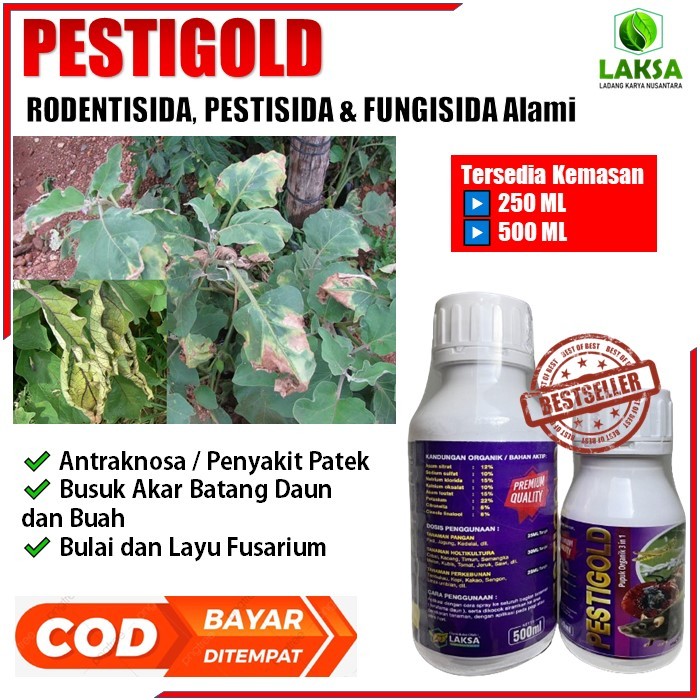 Jual Pupuk Organik Atasi penyakit Layu Daun Terong, cabe, jagung, timun ...