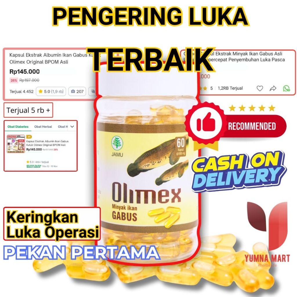 Jual Gabus Kutuk 60 Kapsul OLIMEX Original - Kapsul Kutuk Obat Luka Operasi Caesar Pengering ...