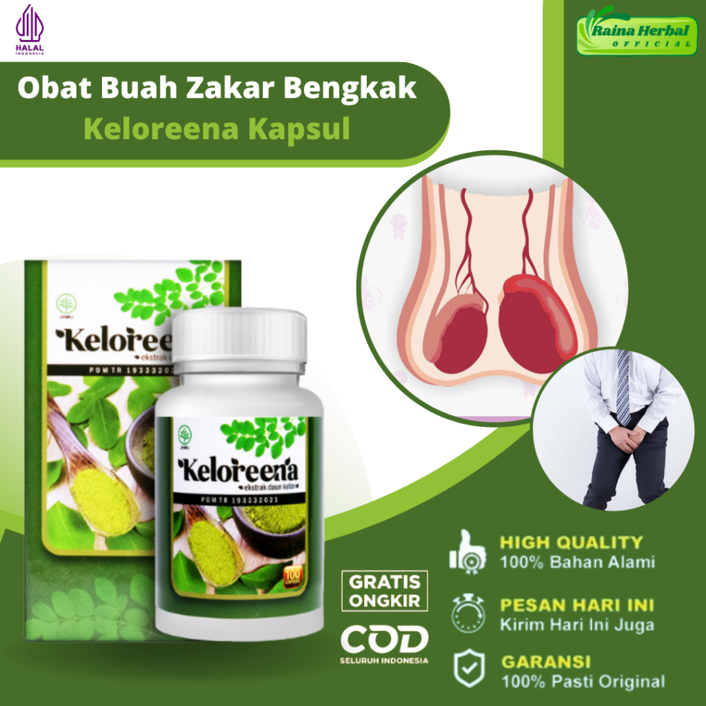 Jual Obat Buah Zakar Bengkak Sebelah Kanan Kiri Hidrokel Varikokel Di ...