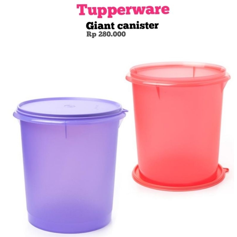 Jual Giant canister Tupperware (1 pcs) | Shopee Indonesia