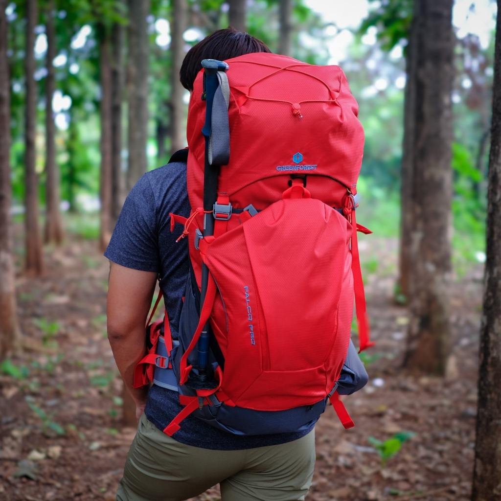 Jual Greenforest Falco Pro Carrier 60+5 Liter Free Raincover - Tas ...