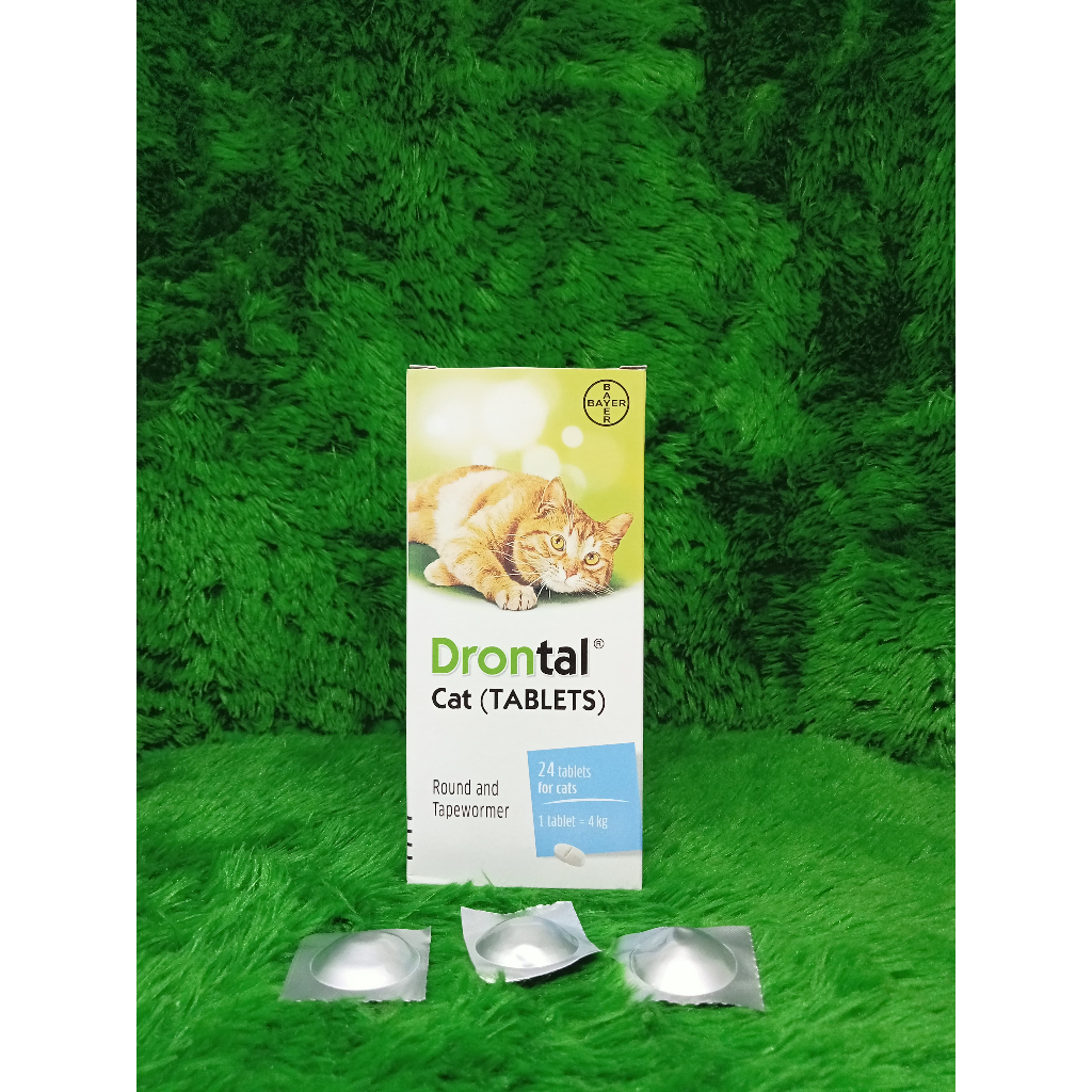 Jual Drontal Cat Obat Cacing Kucing 1 TABLET Obat Drontal Bayer ...