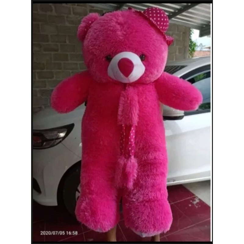 Jual boneka teddy bear topi syal jumbo 90cm | Shopee Indonesia