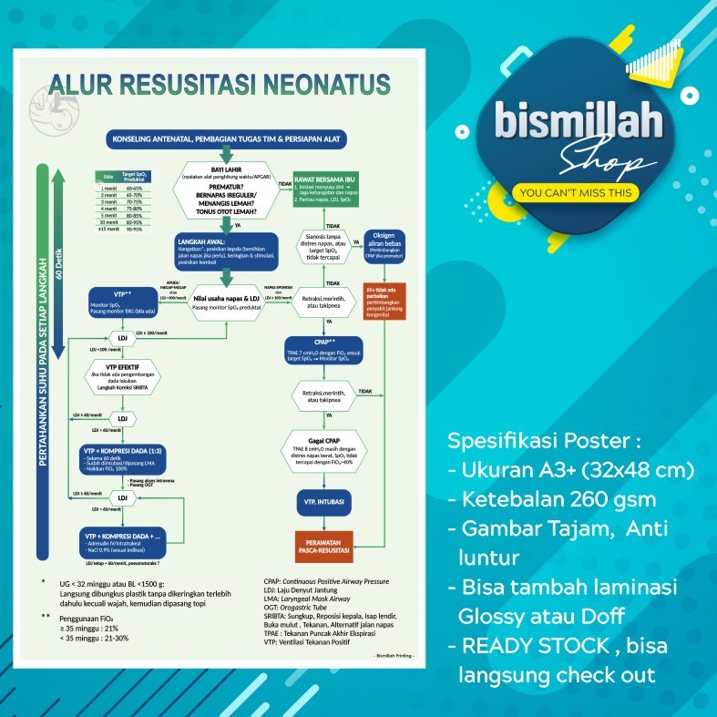 Jual Poster kebidanan Alur Resusitasi Neonatus | Shopee Indonesia