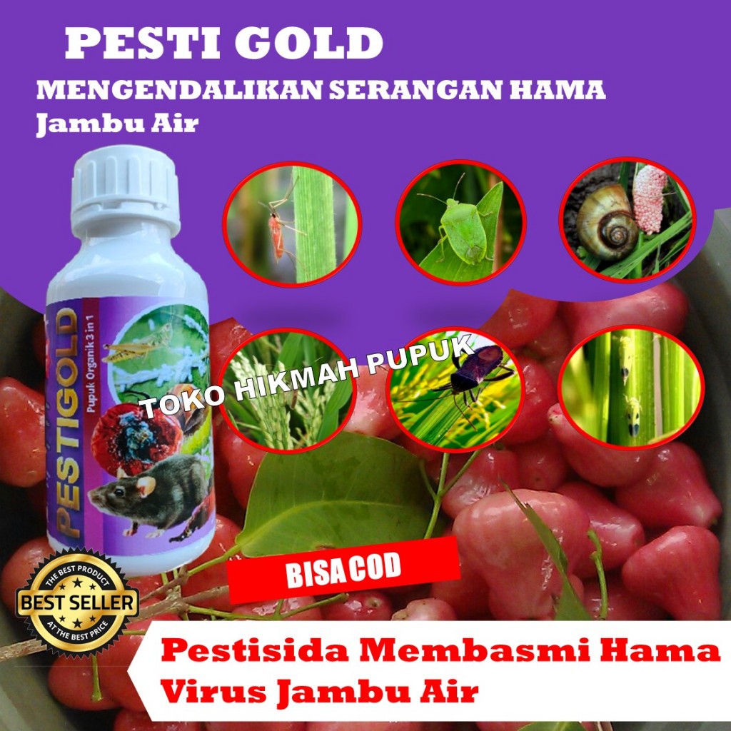 Jual Pupuk Jambu Air agar Lebat dan Melimpah PESTI GOLD Pestisida Basmi ...