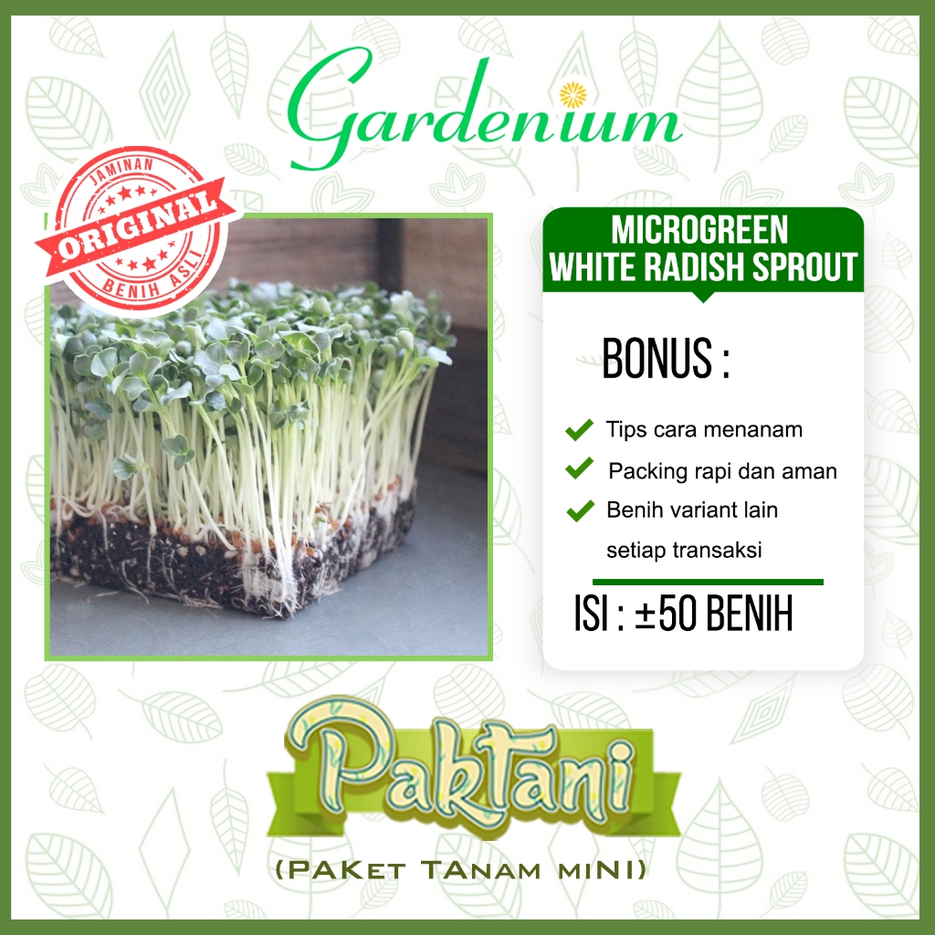 Jual Macam Macam Benih Microgreen Sprout Paktani | Shopee Indonesia