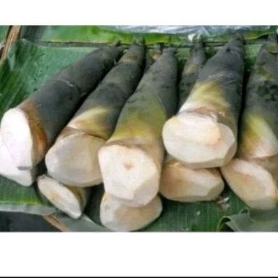 Jual REBUNG BAMBU SAYUR SEGAR 1kg | Shopee Indonesia