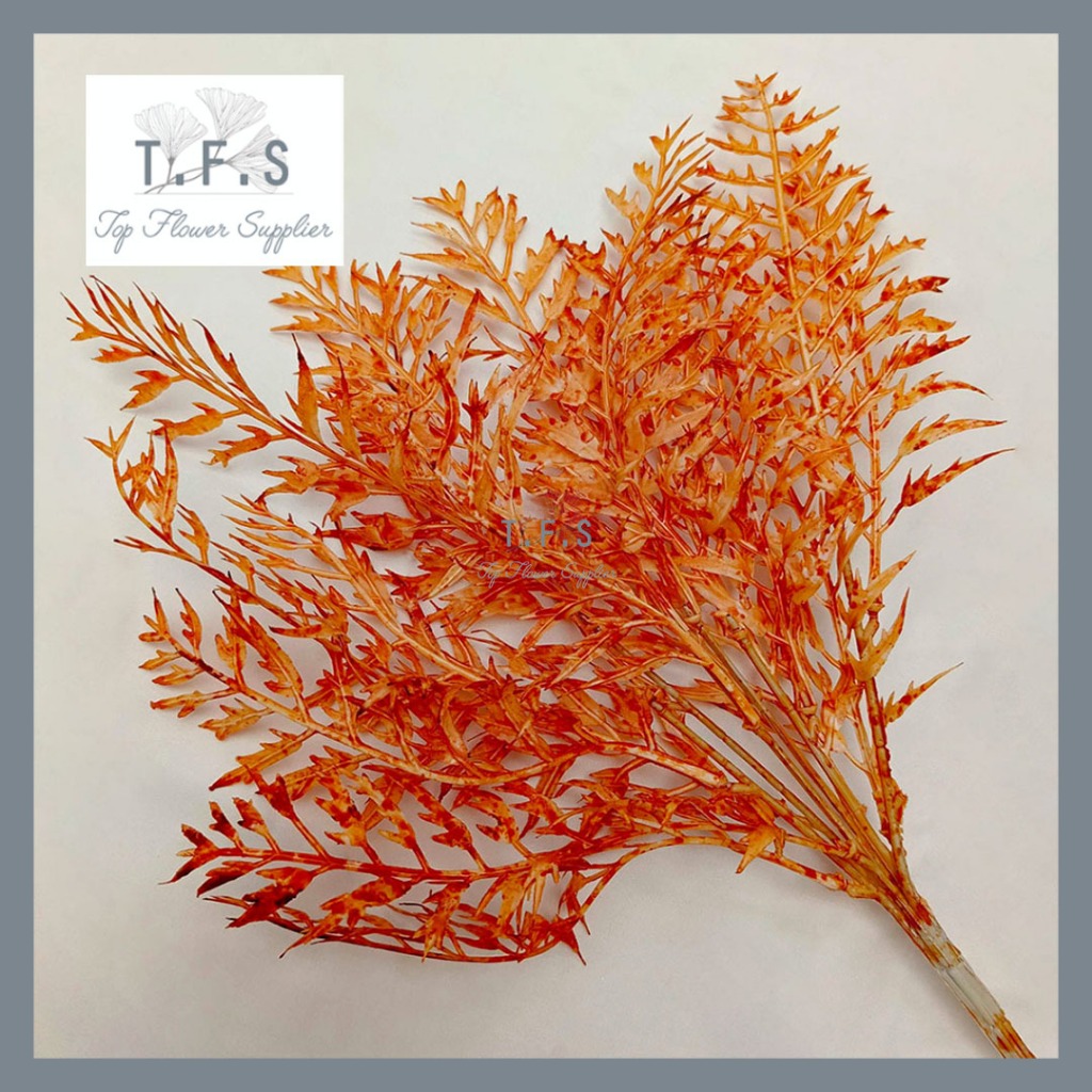 Jual Artificial Misty Grass Daun Pakis Artificial Rumput Paslu Hiasan ...