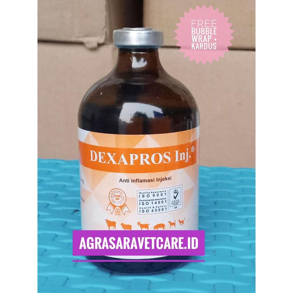 Jual DEXAPROS Inj 100ml - Dexa Obat Anti Inflamasi Hewan Ternak Obat ...