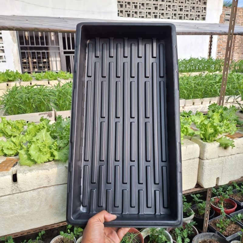 Jual Seedling Tray / Alas Tray Semai Benih Tanaman Sayuran atau ...