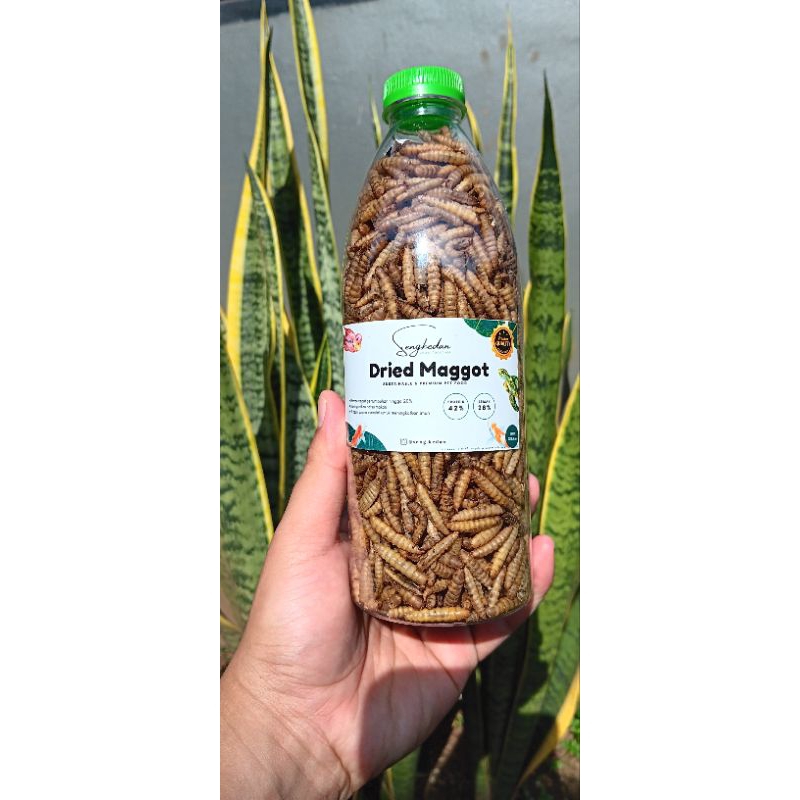 Jual Sengkedan Dried Maggot (Magot Kering) Kemasan Botol Plastik 100 ...