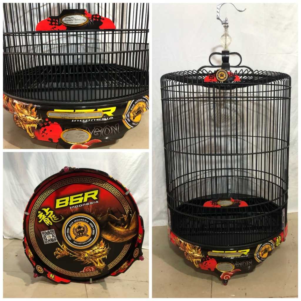 Jual BnR Sangkar Murai No 2 PVC Decal Dragon Gold Red | Shopee Indonesia
