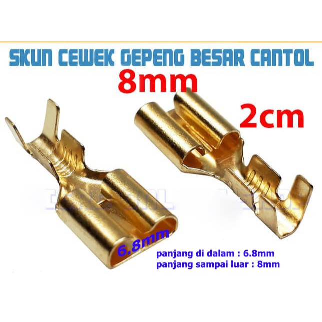 Jual Skun Gepeng Cewek Female Kecil / Soket / Skun Motor / Skun kabel ...
