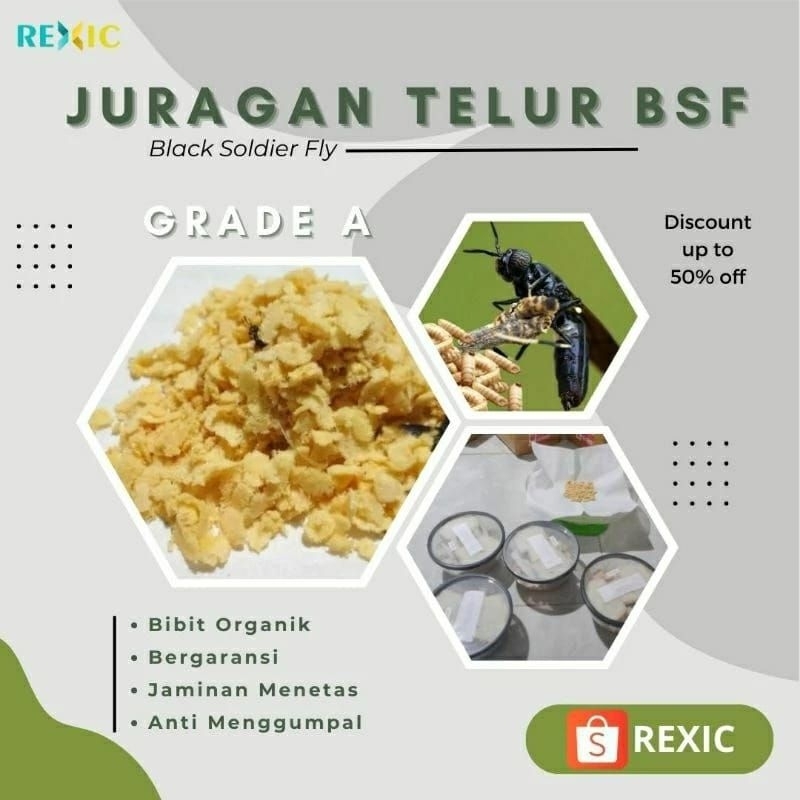 Jual Telur Maggot BSF per 10 gram | Shopee Indonesia