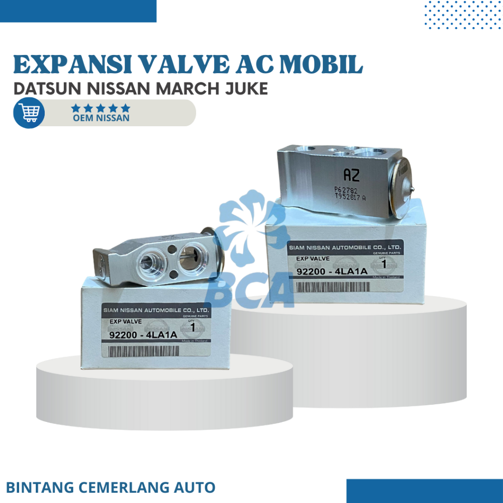 Jual EXPANSI EKSPANSI AC Mobil Datsun Nissan Juke OEM NISSAN | Shopee Indonesia