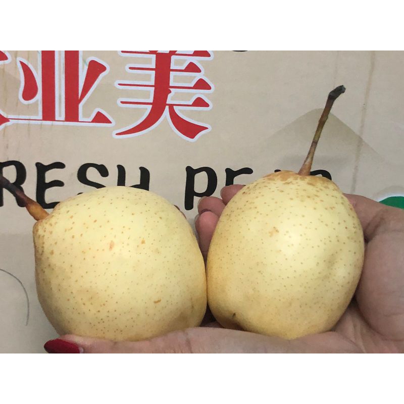 Jual Pear Yalie Jizhou Size 80/kg | Shopee Indonesia