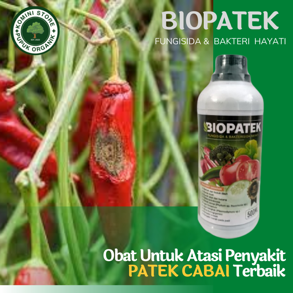 Jual Pupuk Obat Patek Cabe Terbaik BIOPATEK Fungisida Hayati Obat Hama Patek Cabe - Mengatasi ...