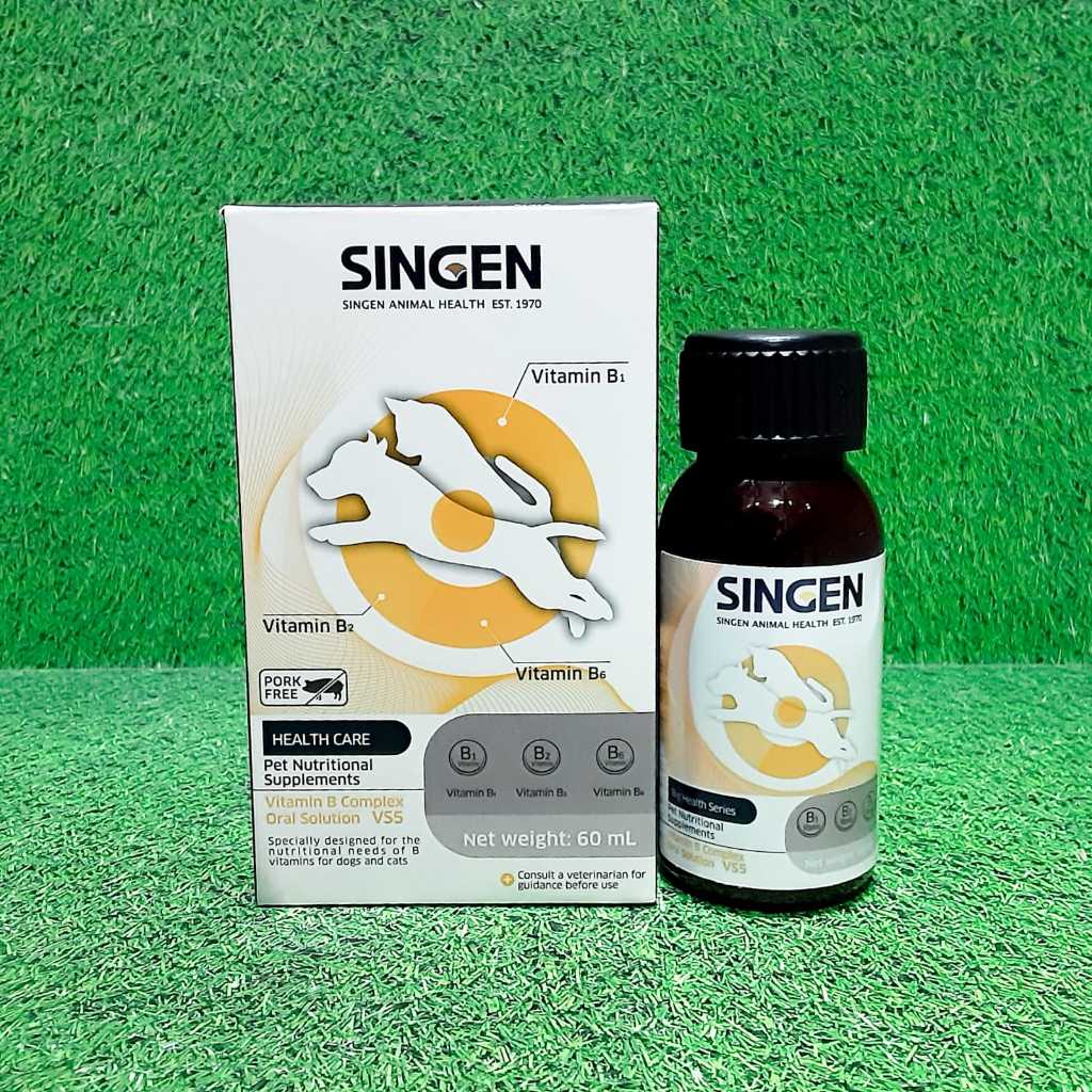 Jual Singen VS5 Vitamin B Complex Oral Solution 60ml | Shopee Indonesia