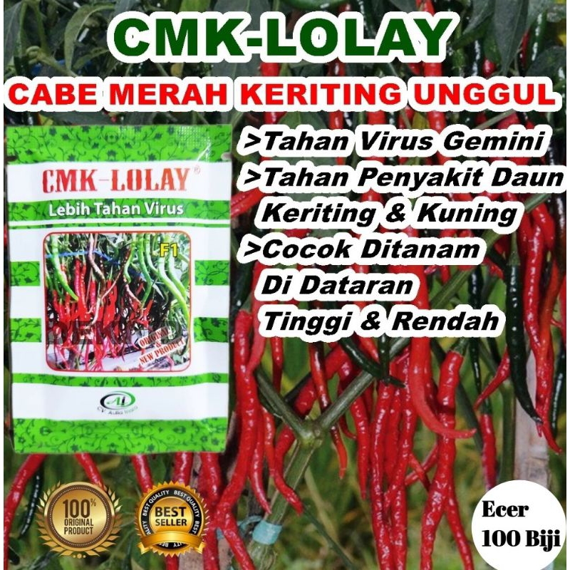 Jual 100 Biji Cabe Keriting Cmk Lolay | Benih Cabai Keriting | Tahan Virus | Bibit Cabe Keriting ...