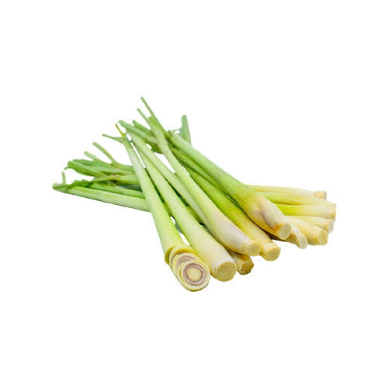 Jual Daun/ Batang Serai Sereh 100 gram/ Sayur ta Makassar | Shopee ...