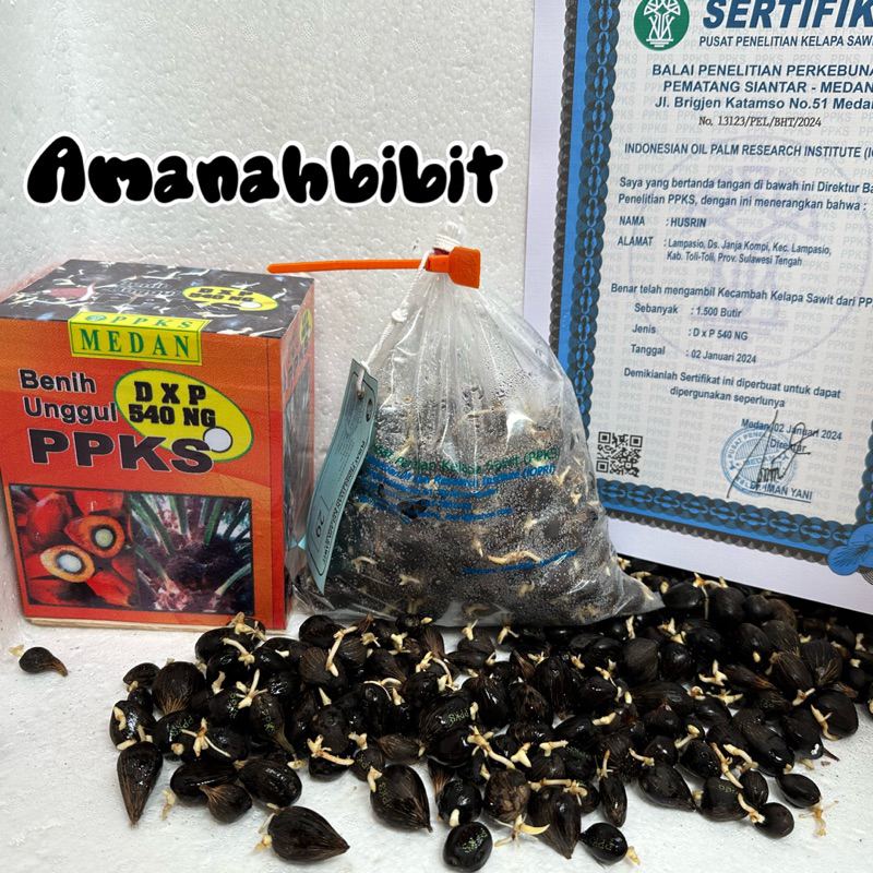 Jual dxp PPKS UNGGUL | Shopee Indonesia