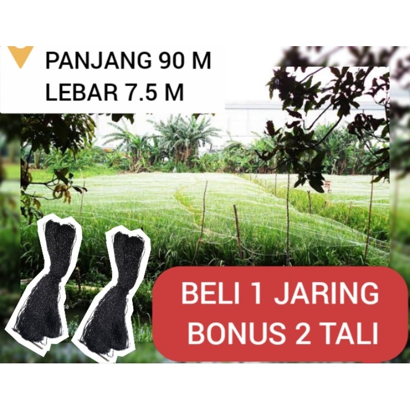 Jual jaring padi jaring sawah ukuran 7.5m×90m BONUS 2 GULUNG TALI ...