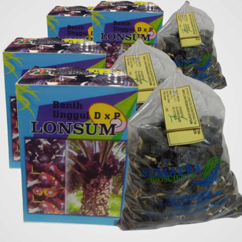 Jual bibit sawit lonsum isi 250 butir | Shopee Indonesia