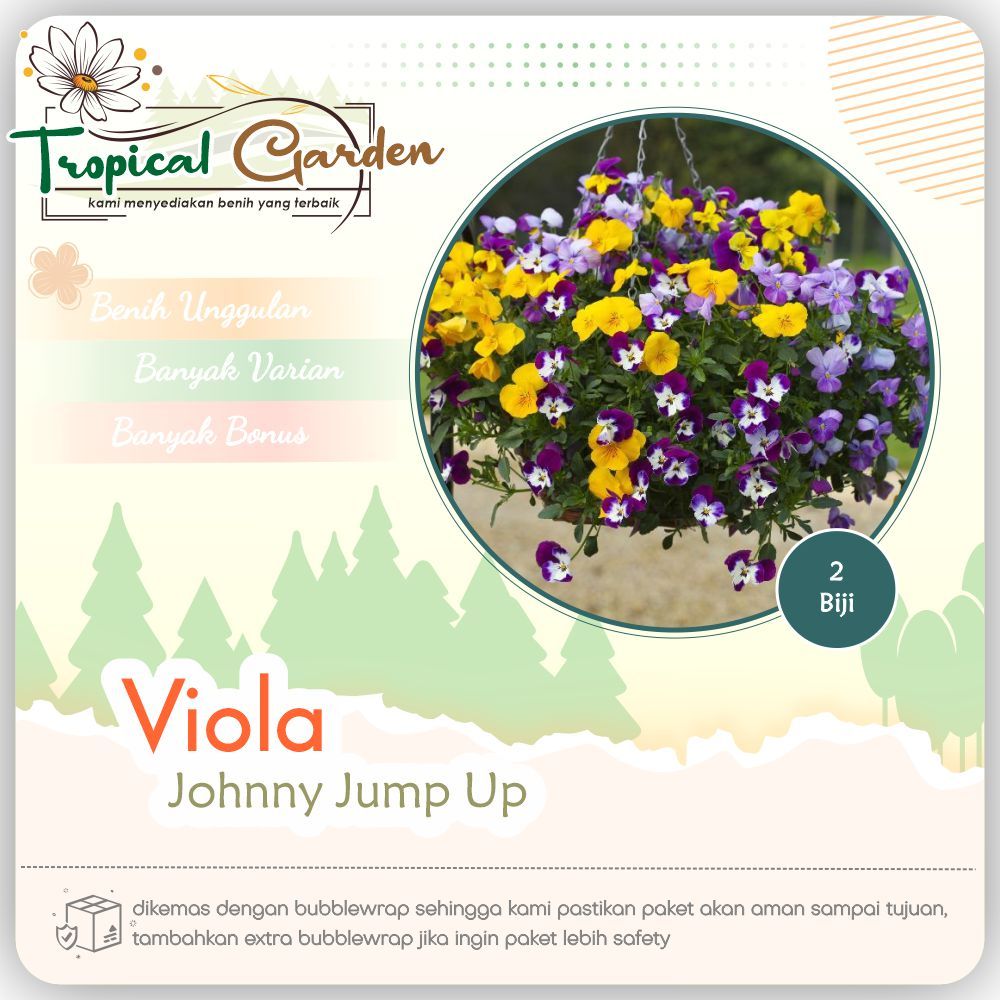 Jual Tropical Garden Biji Benih Bunga Viola Cornuta Bunga Viola COD ...