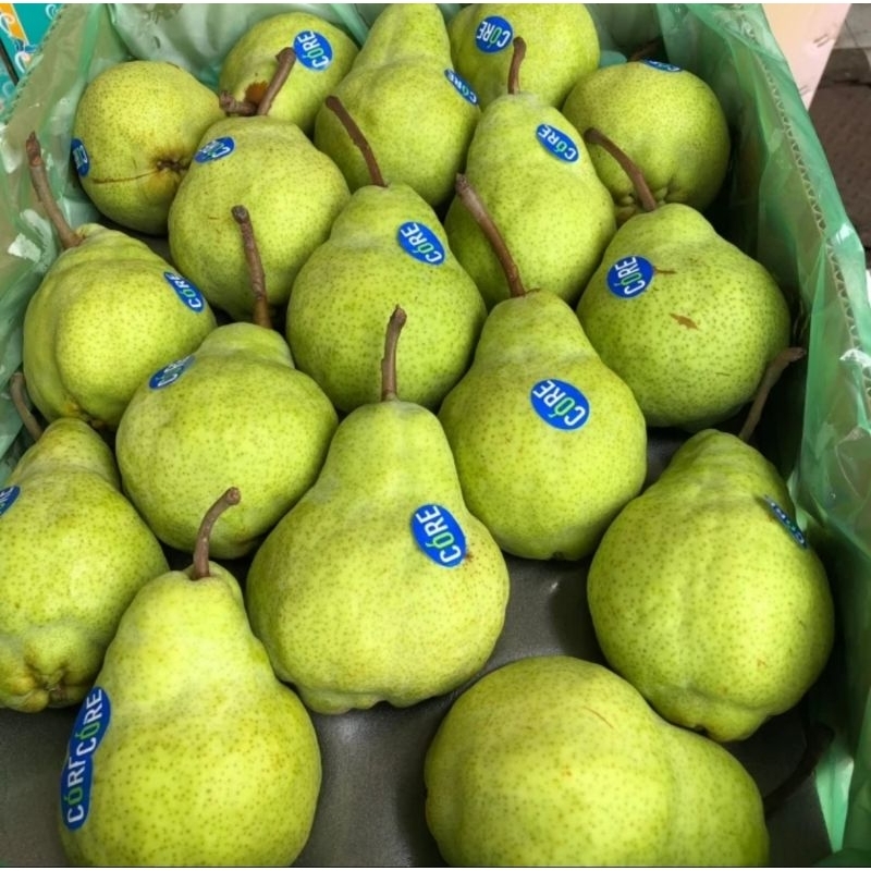 Jual pear packam import 1 kg / pear hijau fresh 1 kg | Shopee Indonesia