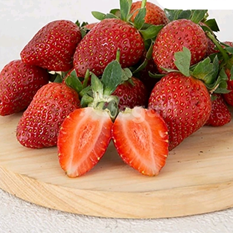 Jual Strawberry Lokal | Shopee Indonesia