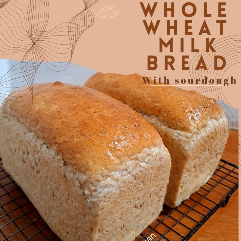 Jual Whole Wheat Milk Bread Sourdough. Roti Gandum (Hybrid) | Shopee ...