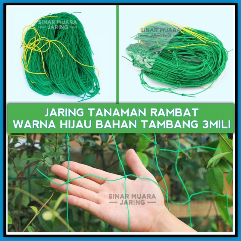 Jual Jaring Rambatan Tanaman Plant Climbing Net Anggur/Pare/Semangka Tebal 3mm Hijau | Shopee ...
