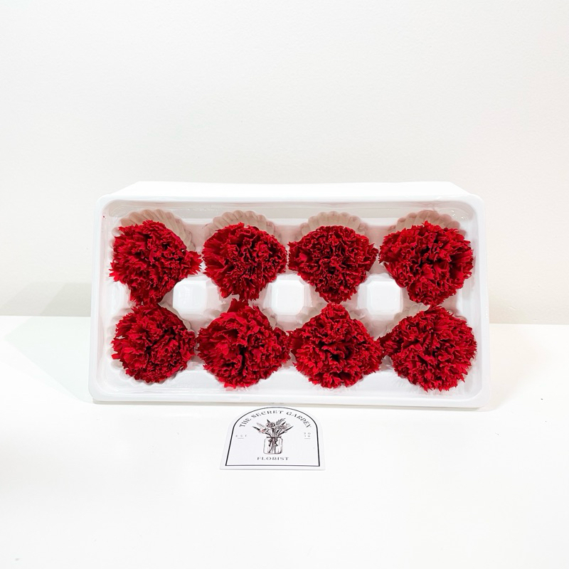 Jual PRESERVED CARNATIONS [8PCS/BOX] BUNGA ASLI KERING | DRIED FLOWER ...