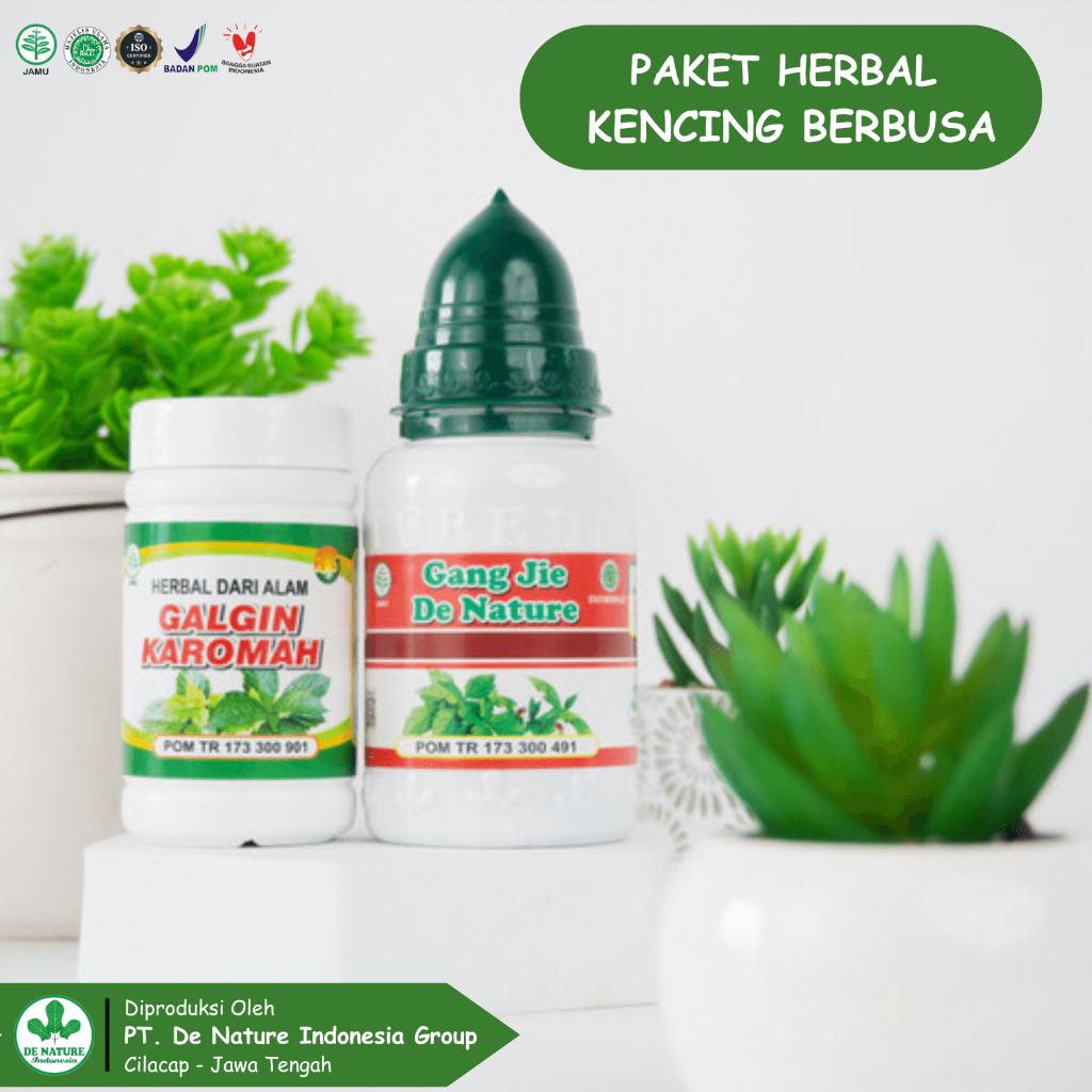 Jual Obat Sindrom Nefrotik Ginjal Kreatinin Tinggi Penurun Ureum ...