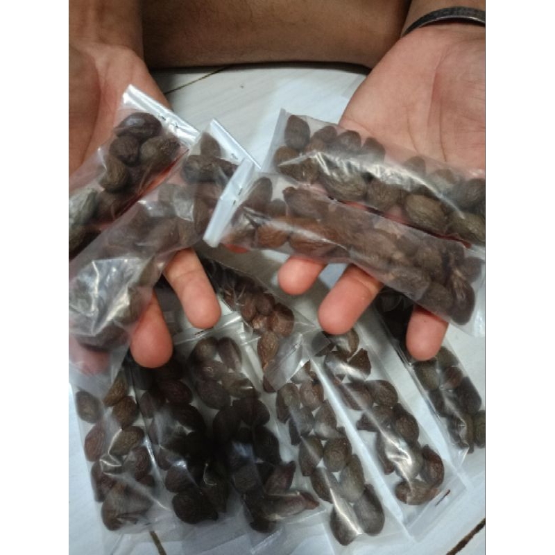 Jual Buah Tempayang / Kembang Semangkok / Beng Ta Hai harga perbungkus ...