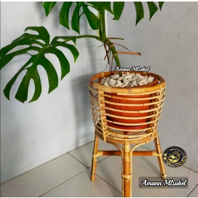 Jual Standimg Pot Tanaman Rotan Asli Full Vernis Bahan Rotan Pilihan ...