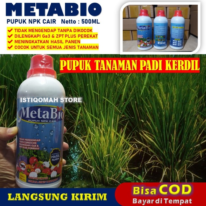 Jual Pupuk Padi Kerdil METABIO isi 500ML Pupuk NPK Cair Ga3 dan Perekat Untuk Tanaman Anakan ...