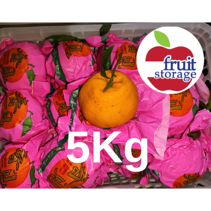 Jual Jeruk Dekopon Papagan Sumo Chunjian Ponkam Premium Giftpack Gift ...