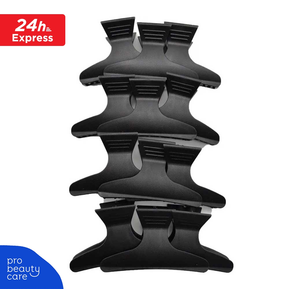 Jual Jepit Rambut Salon Parting Gigi isi 12 pcs - Hitam (YB902H ...