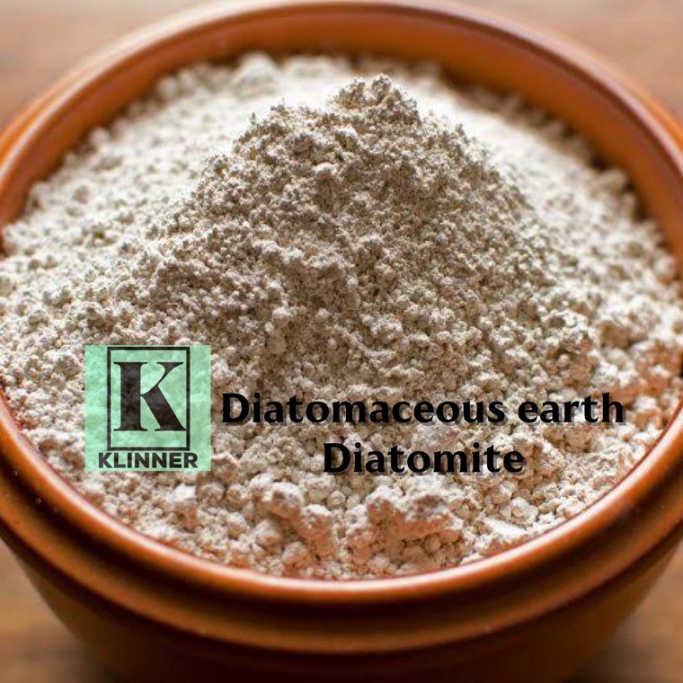 Jual CHEKOUT Dicalite Diatomite diatomaceous earth powder DE detox ...