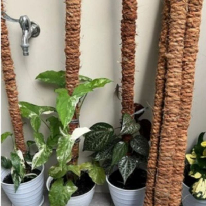 Jual Turus Tanaman Rambat || Cocok untuk tanaman kecil || diameter ...