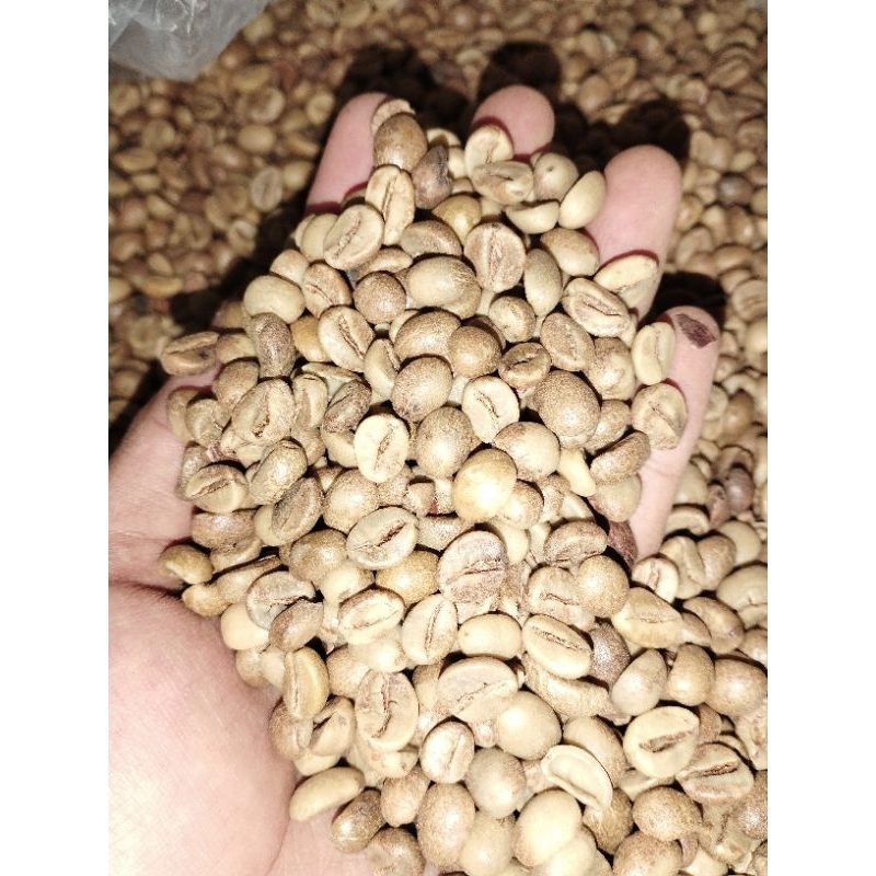 Jual BIJI KOPI ROBUSTA WINE PETIK MERAH 1KG | Shopee Indonesia