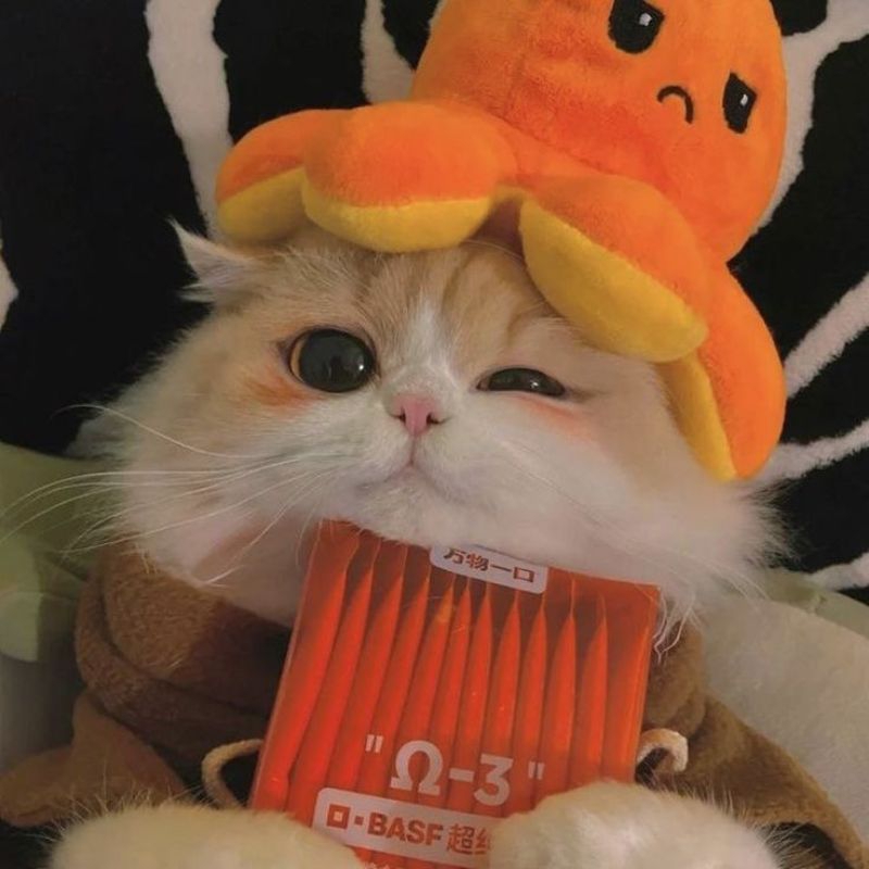 Jual Nota Live 110-300+(adm) | Shopee Indonesia