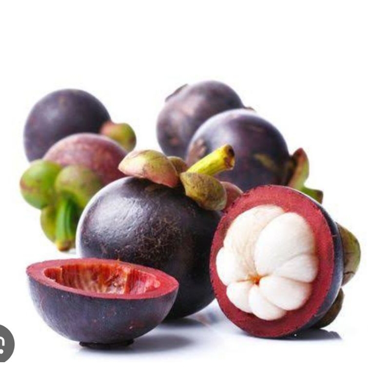 Jual manggis segar 1kg | Shopee Indonesia